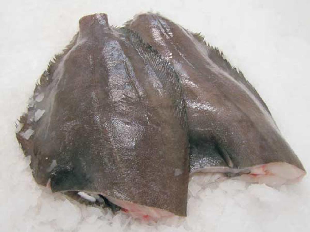 Greenland Halibut, HGT 格凌蘭比目魚扒,去頭去內臟去尾 – 肉匠